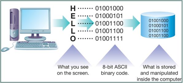 Doctors Office: Blog Entry 4.1 Hello World