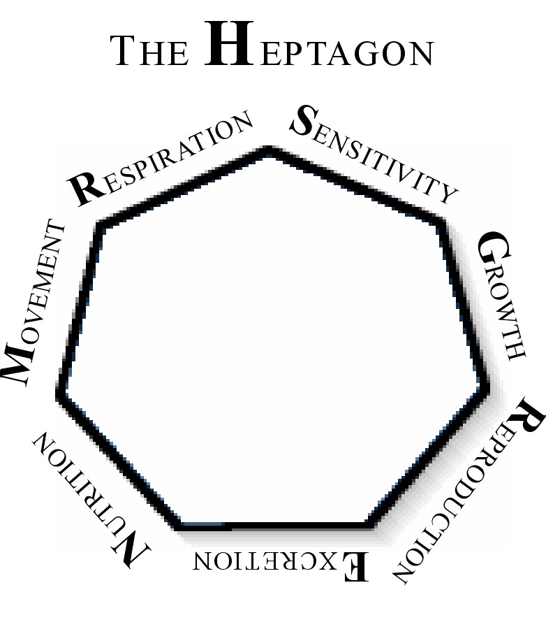 COTS Catechesis Class: Session I - Part 3a: "Dead to sin and alive to ...