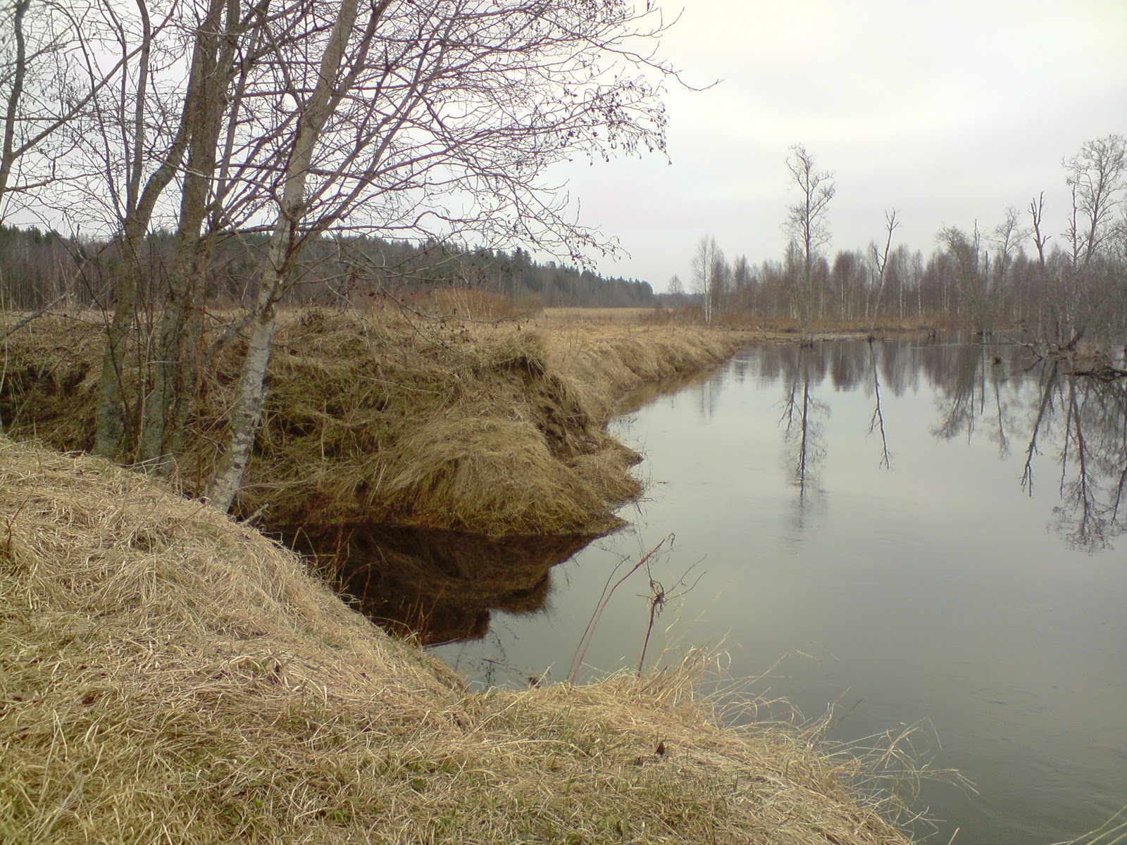 Eesti loodus: Blogi avatud ja esimesed pildid teel