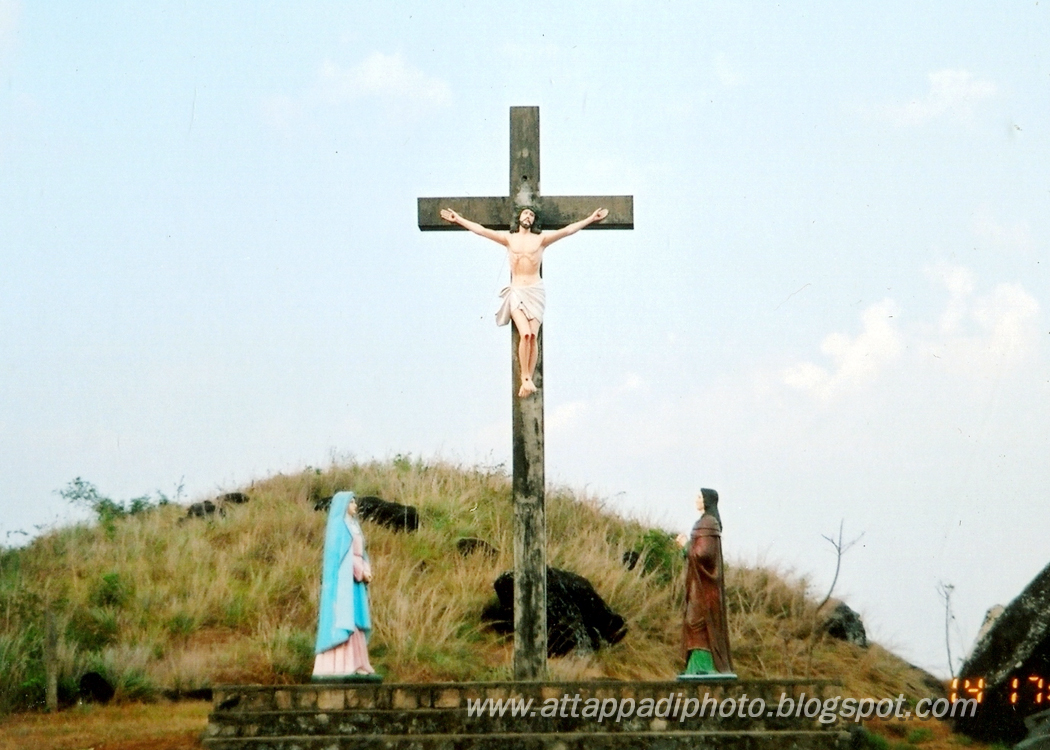 Attappadi ( Attappady ) photo gallary - photos,images,landscape ...