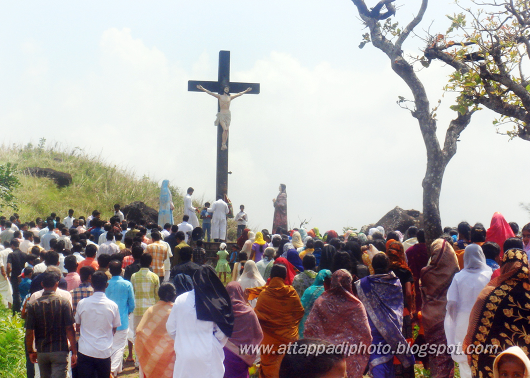 Attappadi ( Attappady ) photo gallary - photos,images,landscape ...