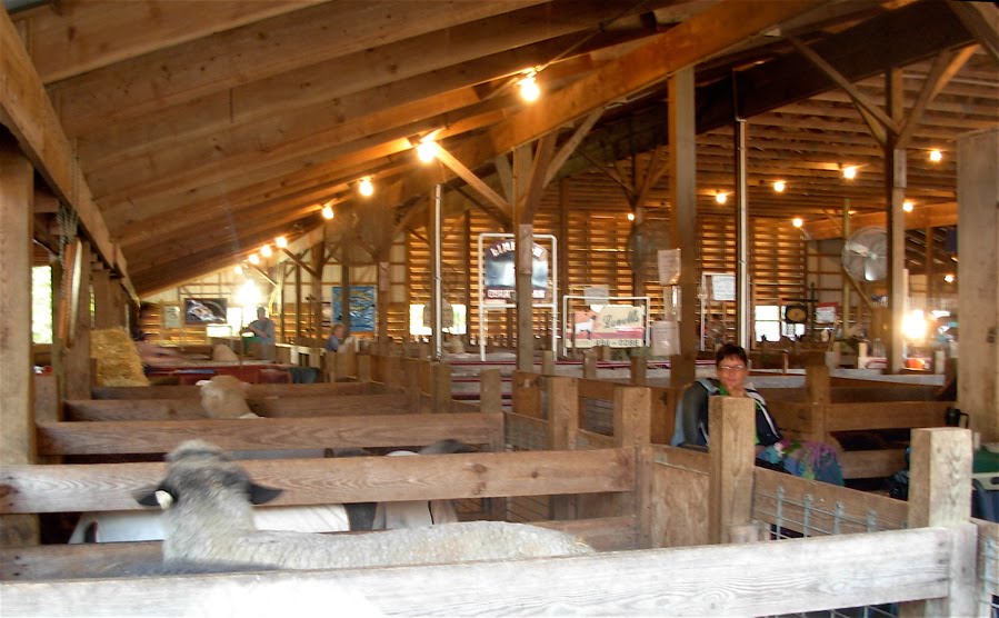 Hey, it's Dalis!: Wool & Sheep & Yarn & Color & Fiber & Crowds & Madness!