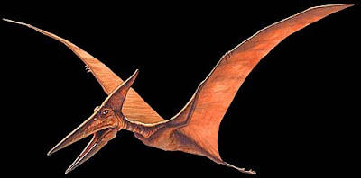 Pteranodon | Ikessauro