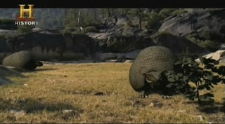 Doedicurus | Ikessauro