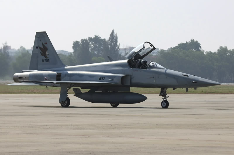 THAIDEFENSE-NEWS: RTAF F-5 E/F GALLERY 1