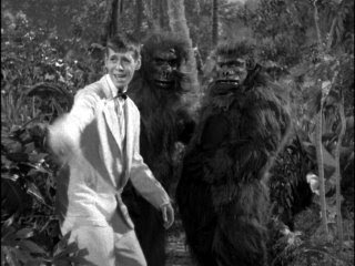 Marti Fitzer's blog: Sammy Petrillo