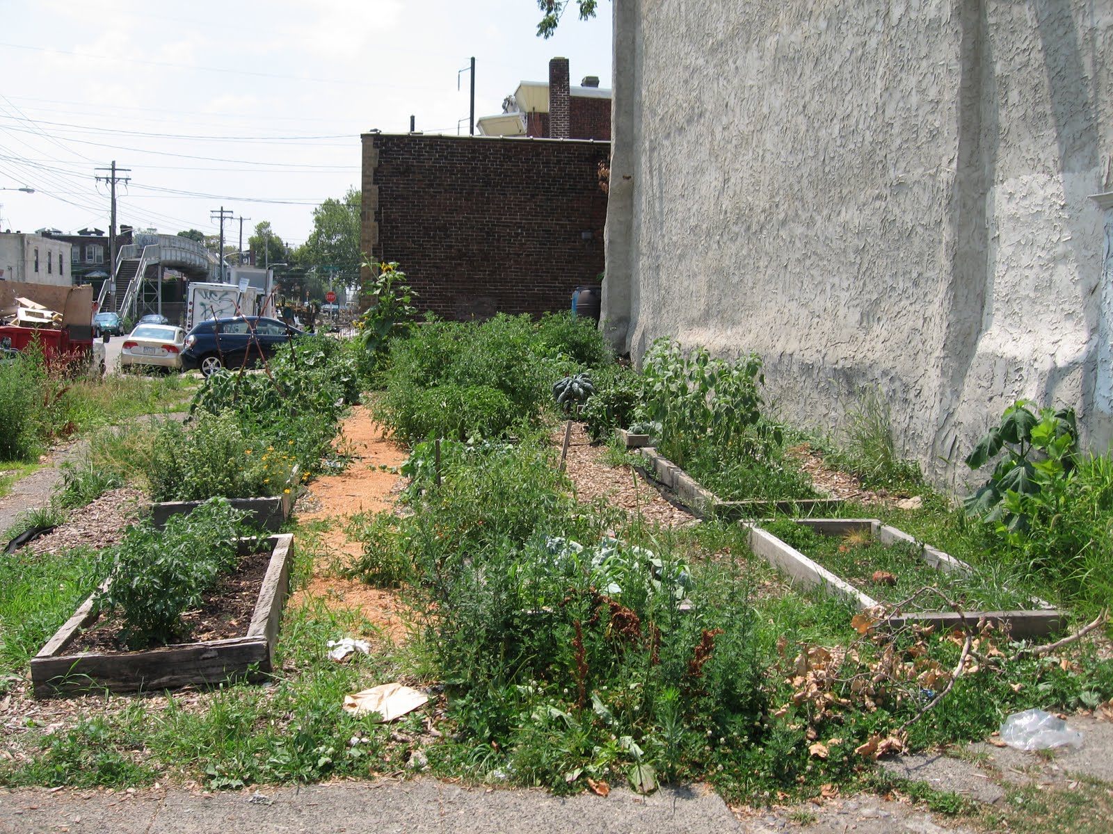 Future House Farm: Philly Community Gardens (and some overuse of ...
