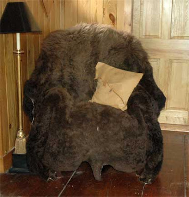 my super cool blog... that's cool!: ode to the meat chair