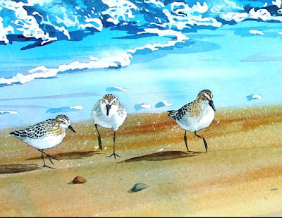 Beach Runners - Watercolor Painting of Sandpipers Running On the Sand ...