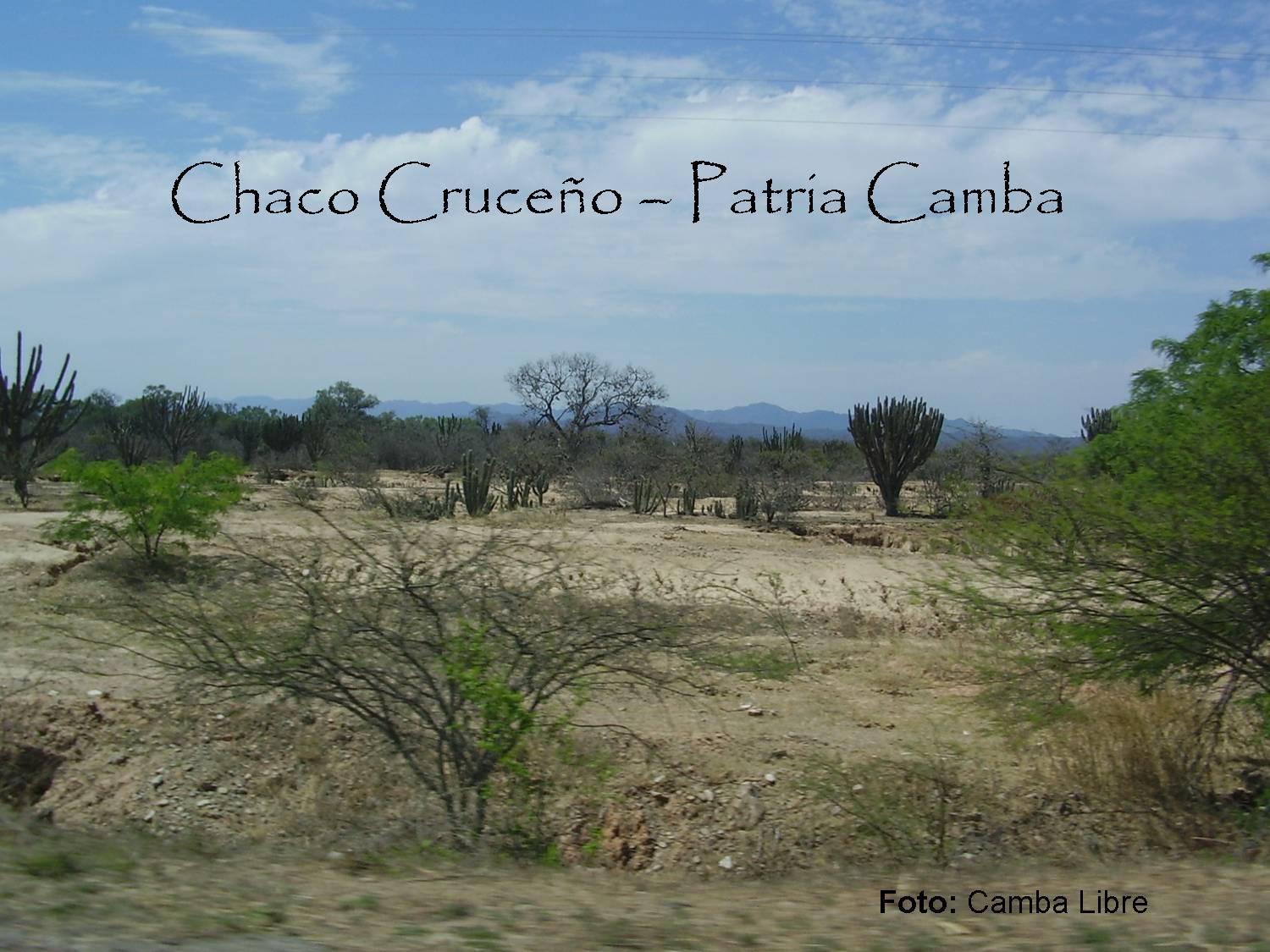CAMBAS LIBRES: Chaco Boreal- Chaco Camba