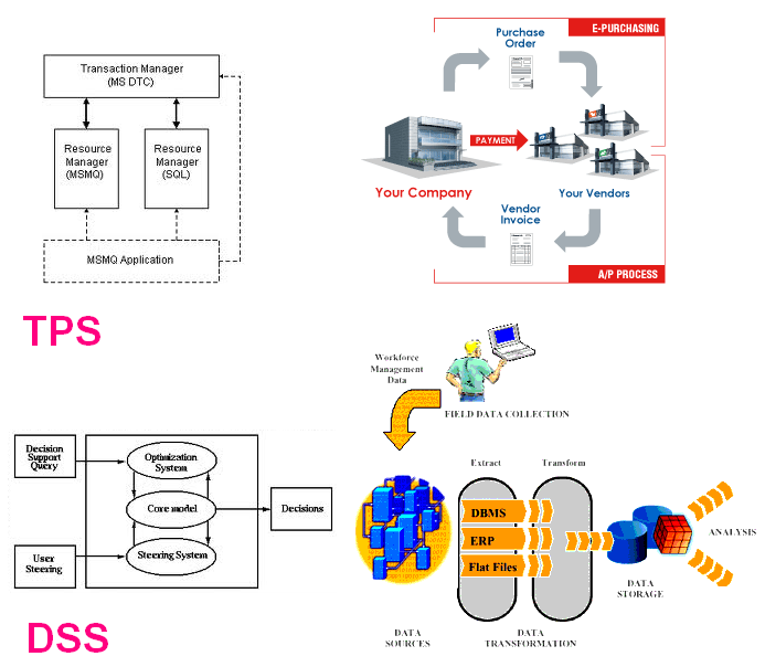 Typology of MIS | Accounting Education