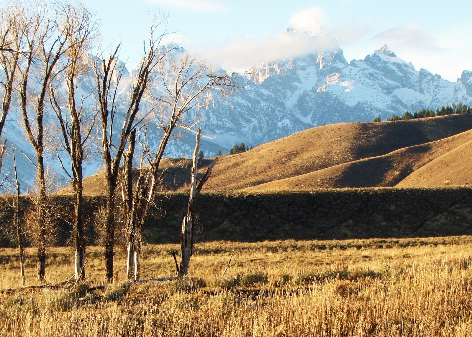 Artisan Jeff Love: Day One of the Jim Wilcox Workshop - Jackson Hole ...