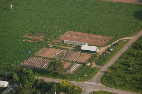 Peacefield Farm: Aerial Photo of the Farm
