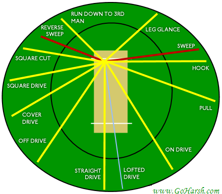 goeblacibex: fielding positions in cricket