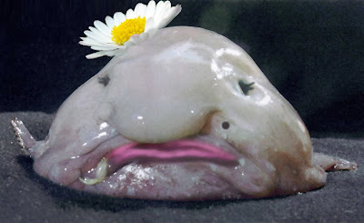 Cute Animals Thread | Page 3 | Fender Stratocaster Guitar Forum