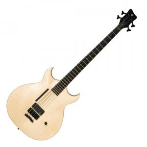 bass guitar blog: Warwick Jonas Hellborg Signature Bass