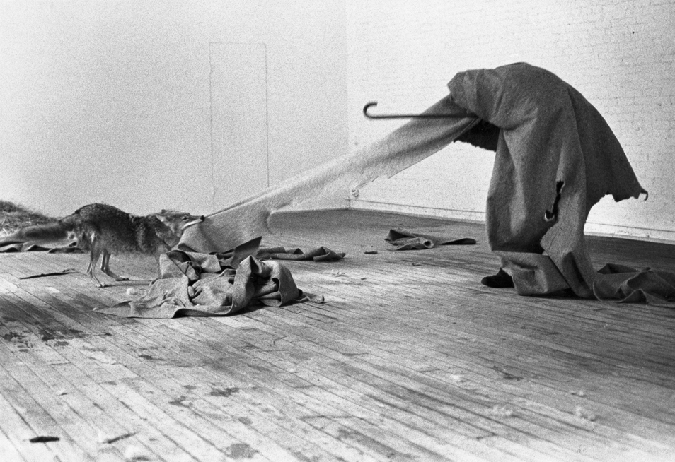 Maureenthebean Art: Joseph Beuys