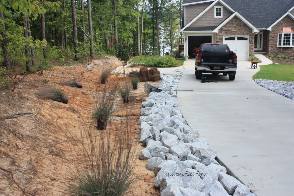 The Queen of Seaford: Finally Back!!