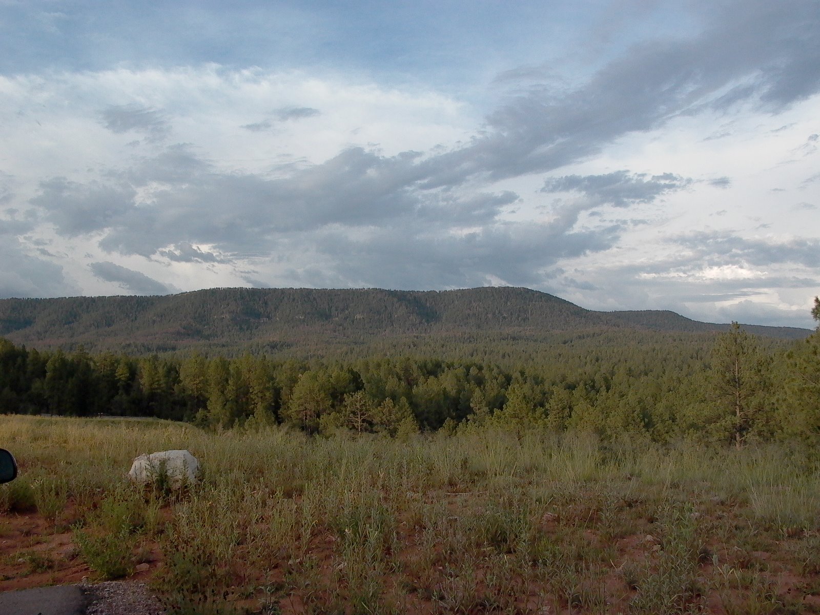 Walking Arizona: Mogollon Rim