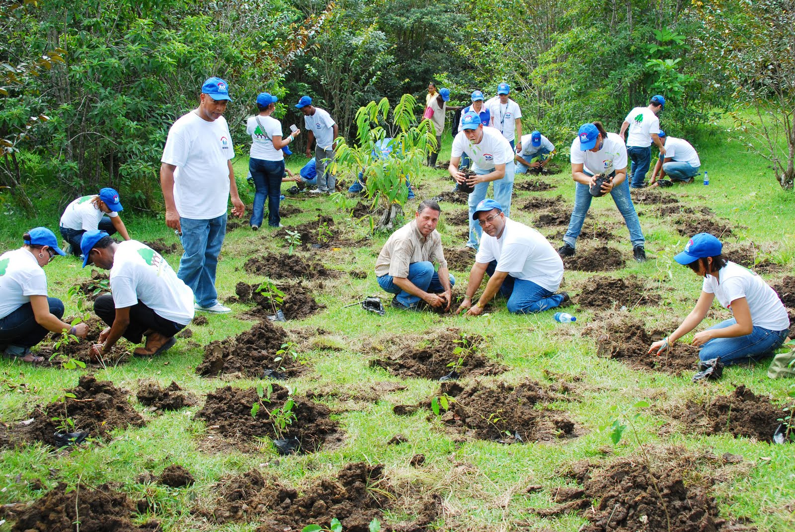 EMPLEADOS DE SOLIDARIDAD REFORESTAN PARQUE DE LA BIODIVERSIDAD UBICADO ...