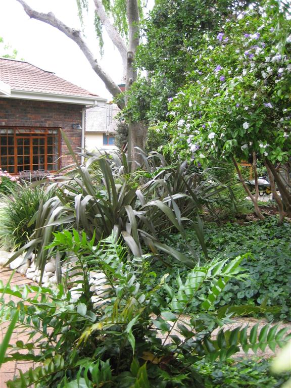 Driftwood Ramblings: Fork in the path