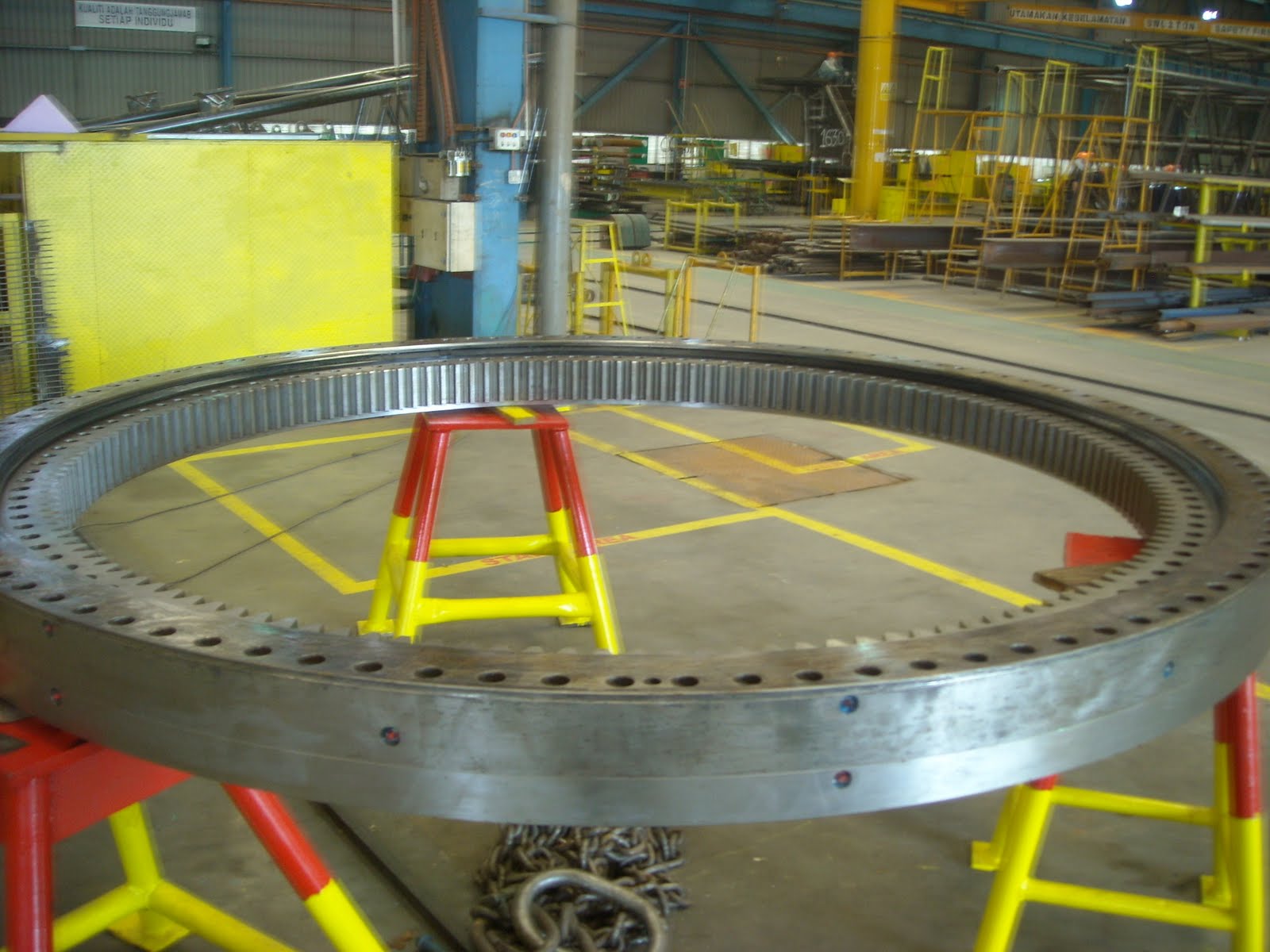 The Journey of My Life