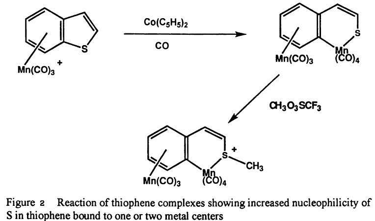 Al-Químicos: Tiofenos y Metales de Transición