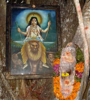 Sanatana Dharma: Sastha on Lion