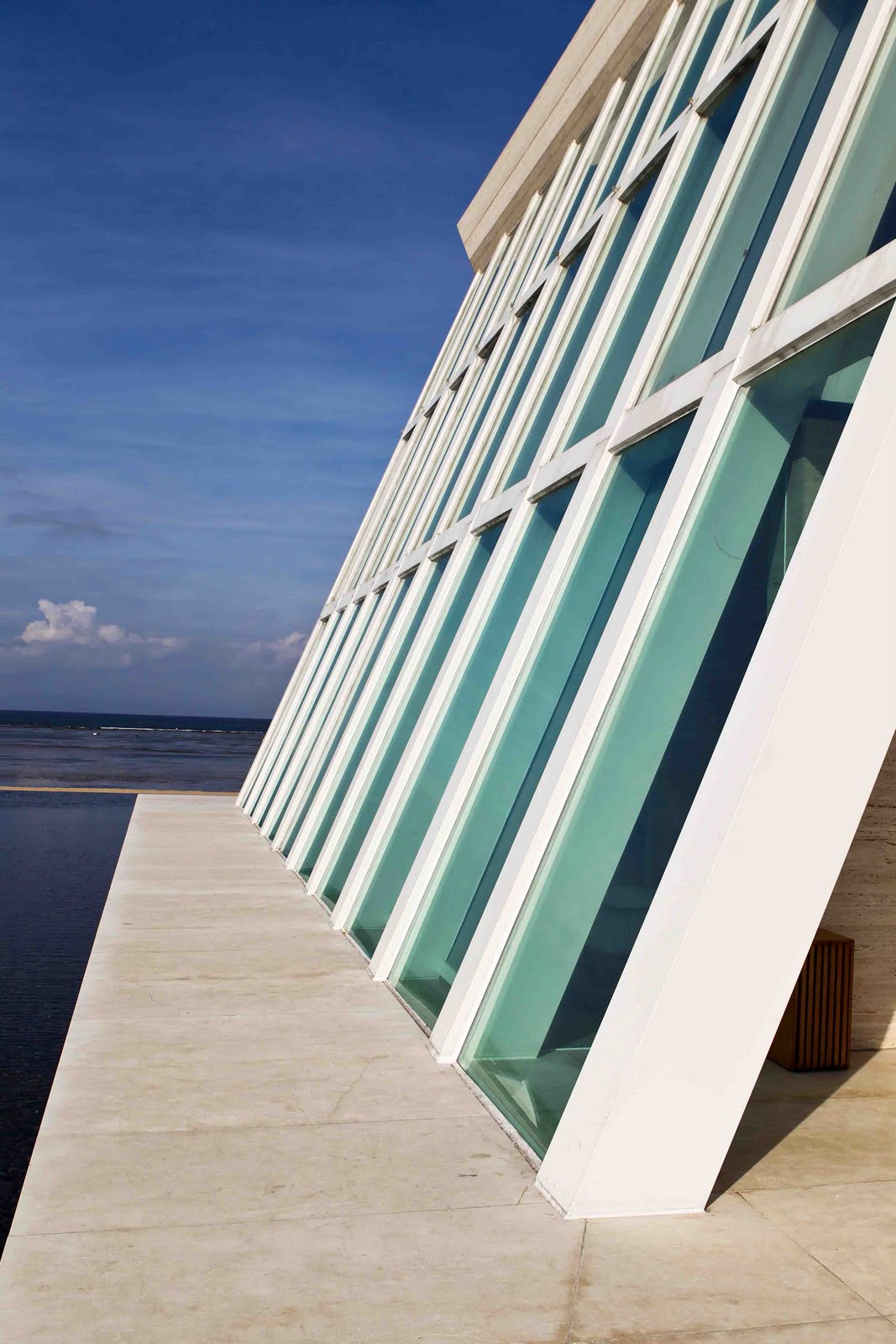 Life of a Lil Notti Monkey: Gavin & Gabby