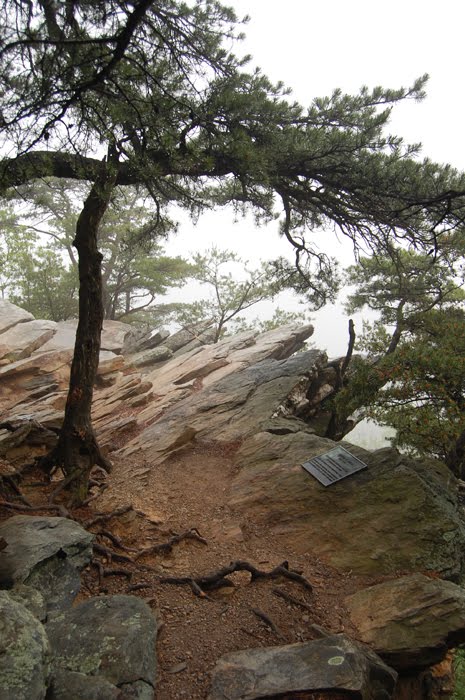 Weverton Cliffs to Gathland State Park on the Appalachian Trail