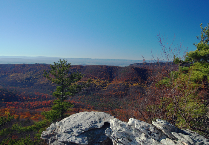 Veterans Day Hike - Strickler's and Duncan Knobs