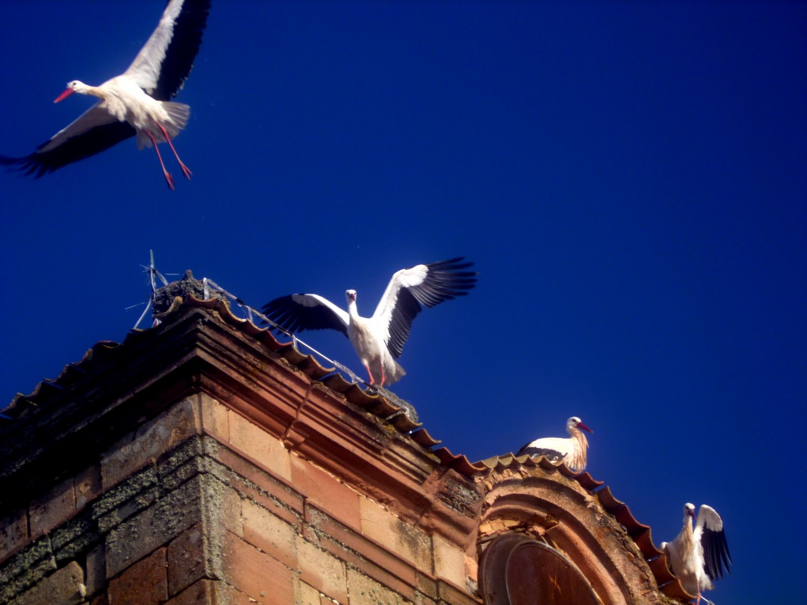 Histórico de Noticias de Baraona