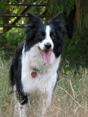 BCxFour: Kiddo, Emma Rose, Sheep & Brynn