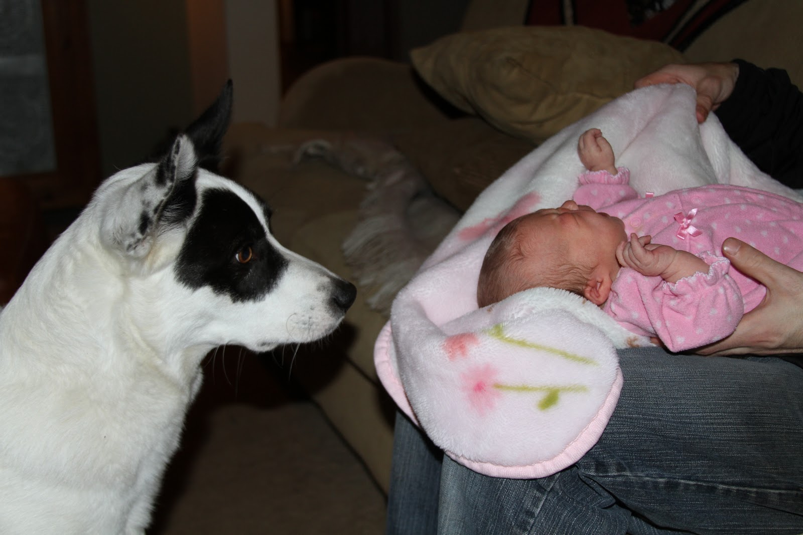 BCxFour: November 2010