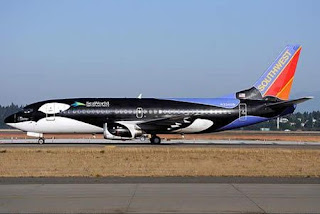 Strange World: Outrageous Aircraft Graffiti