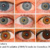 Sandwalk: The Genetics of Eye Color