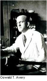 Sandwalk: Avery, MacLeod and McCarty (1944)