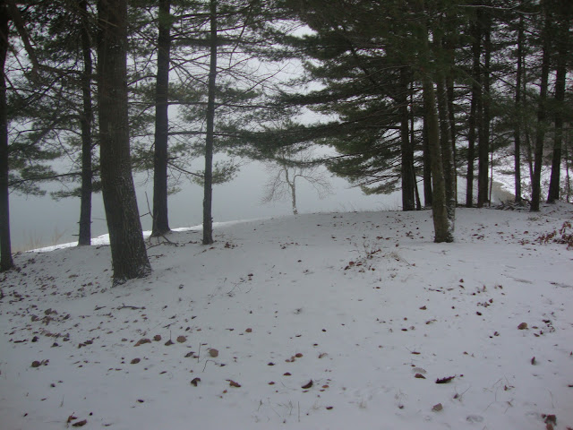 Grow Damnit!: Who goes fishing in a snow storm?