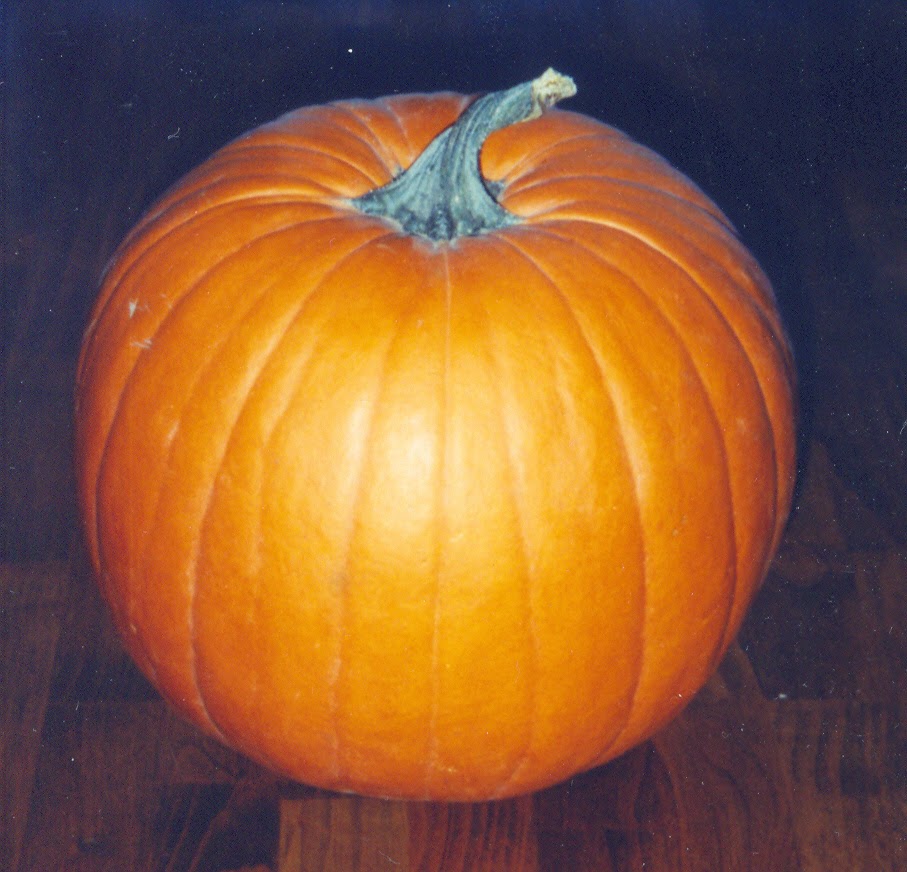 ¿Gusta Usted? : CALABAZA EN TACHA.- RECETA