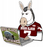 BURROS BLANCOS IPN: Burros Blanco listo para su segundo Examen de ...