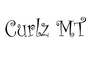 COLLECTIVE GENIUS: Blog Project #4: FONTS. Michelle Stolz