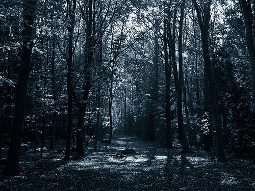 Bald Worm's Blog: Year Five Fiction: Building a 'Spooky' Atmosphere