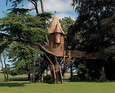 Do you have a treehouse in the garden? | Page 2 | Gardening Forums