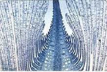 Cienci@ en @cción: CÉLULA VEGETAL