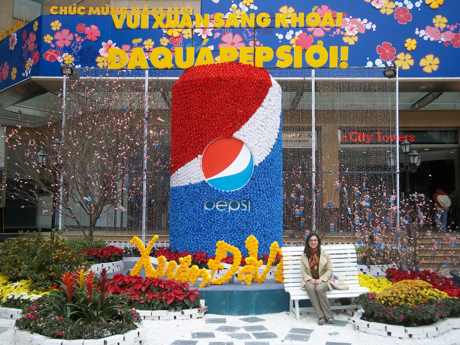 VietNaomi: Tet in the City