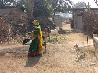 Parkari Kolhi in Pakistan: About Parkari Kolhi