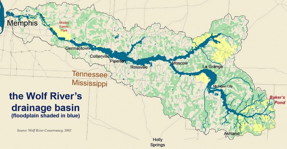 Wolf River Canoe Trips