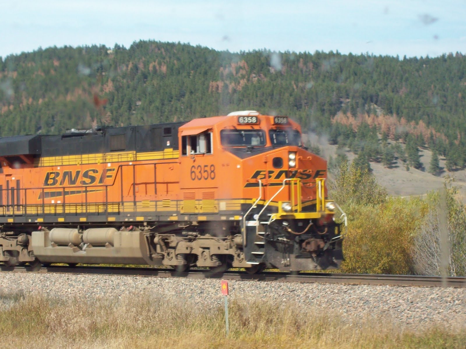 The Pink Flamingos' Blog: BNSF Train Passing By