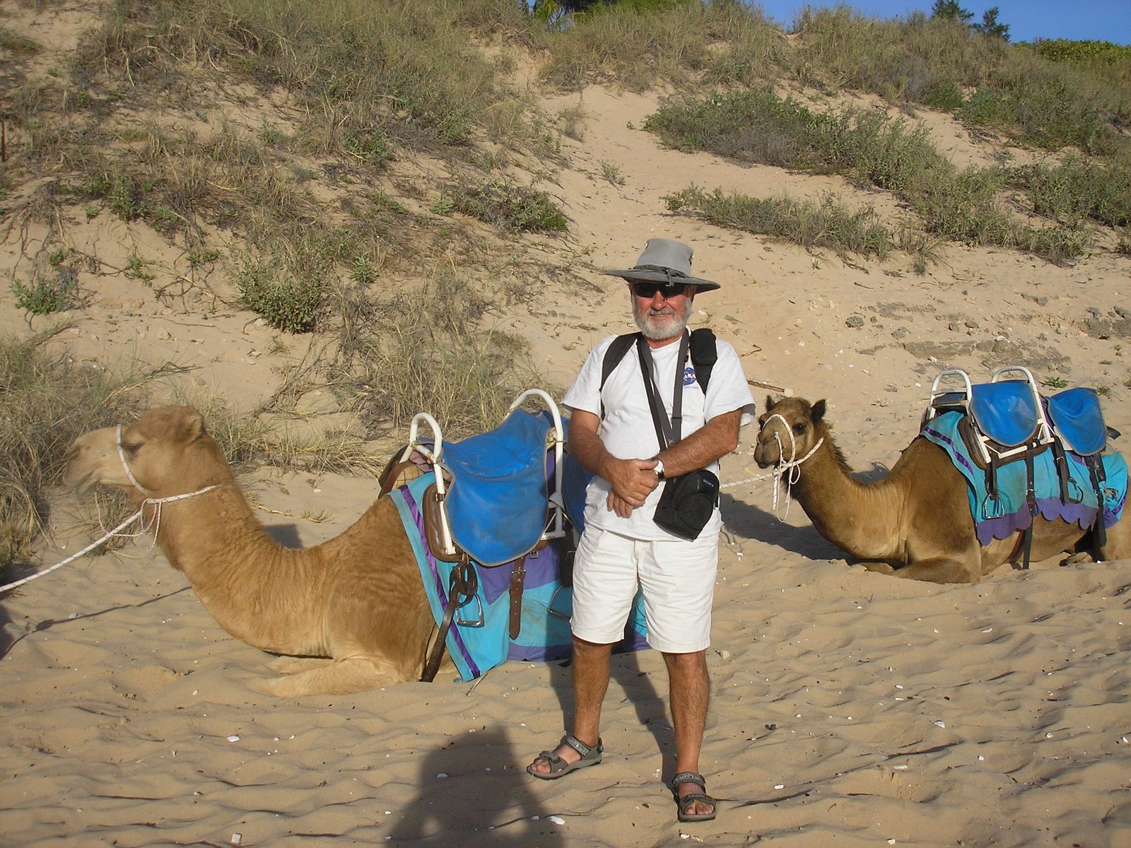 Whereiswitchwae?: Camels in Broome