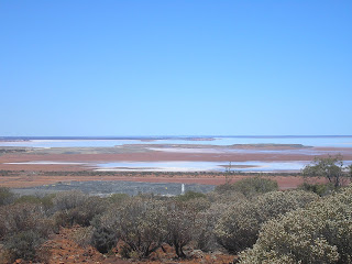 Whereiswitchwae?: Kambalda